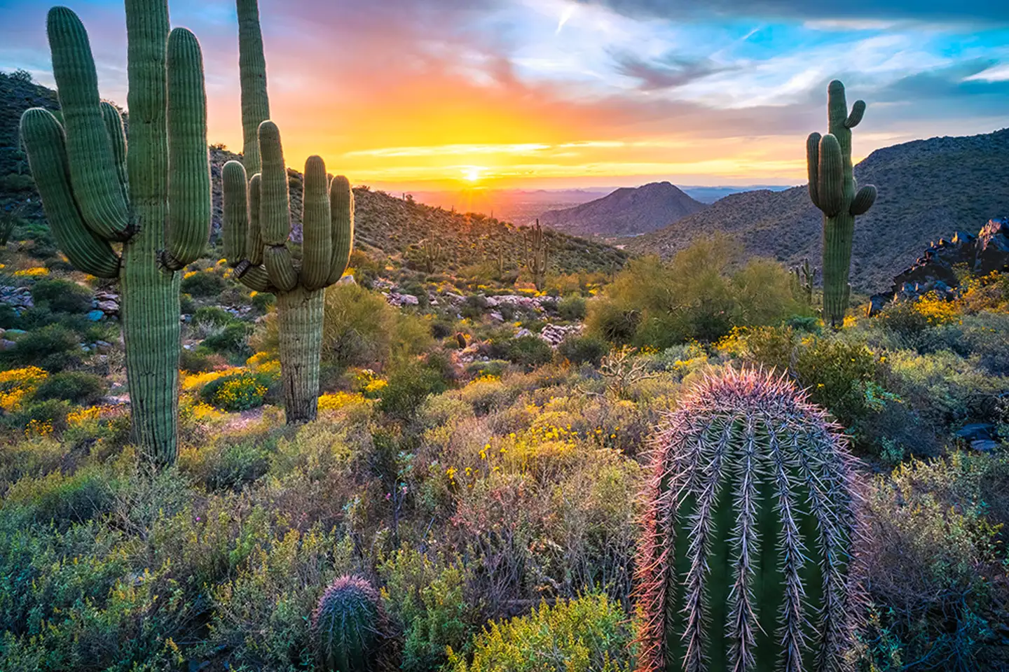 9 Ways to Enjoy Spring in Arizona