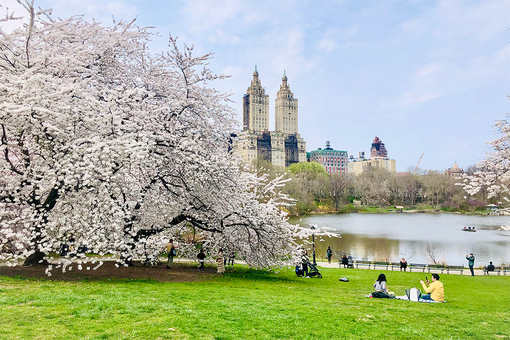 New York in May: Top Things to See and Do