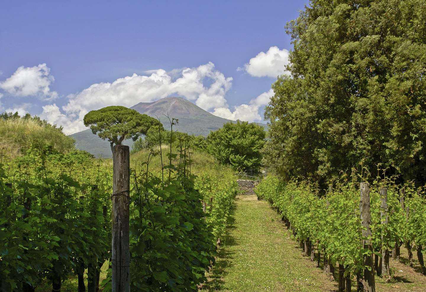Explore off the beaten path with Naples's best hidden gems