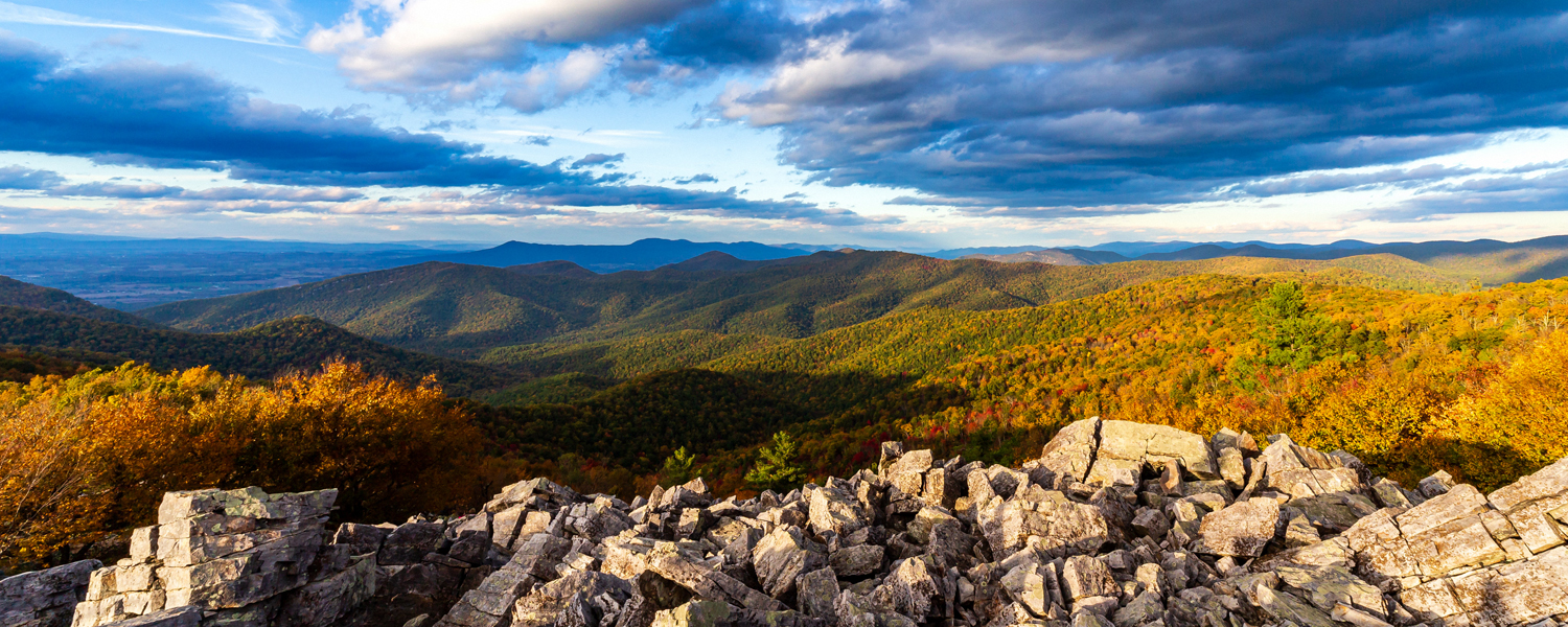 The BEST Virginia Tours and Things to Do in 2025 - FREE Cancellation ...