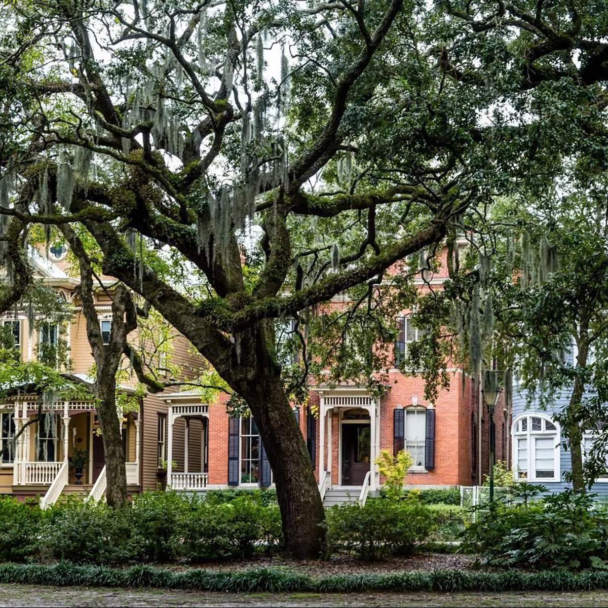 10 Fun family-friendly activities in Savannah