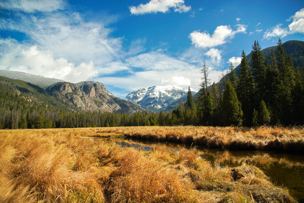 Fall in Montana: 8 Best Places To Visit