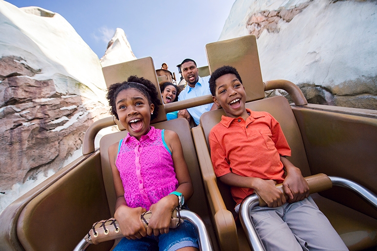 12 best rides at Walt Disney World Resort