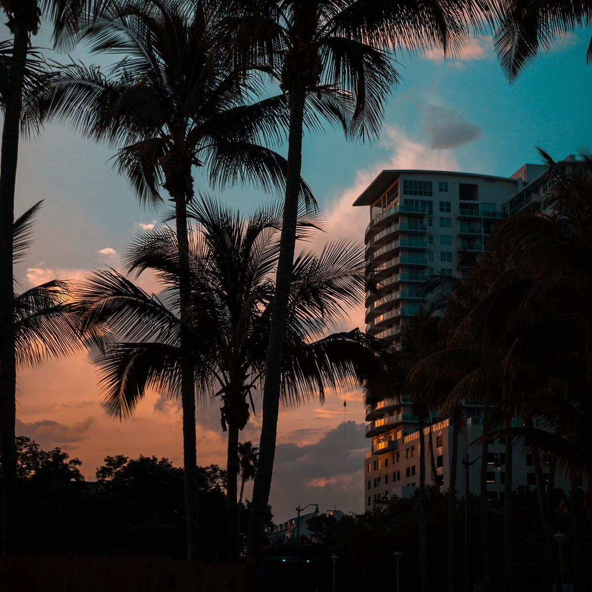Miami for couples: the most romantic things to do