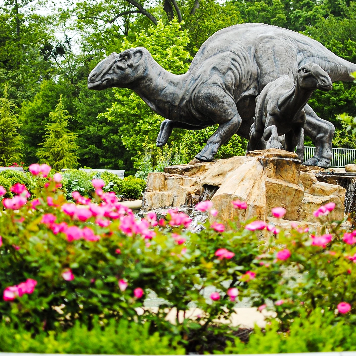 Best museums in Atlanta that are worth your time