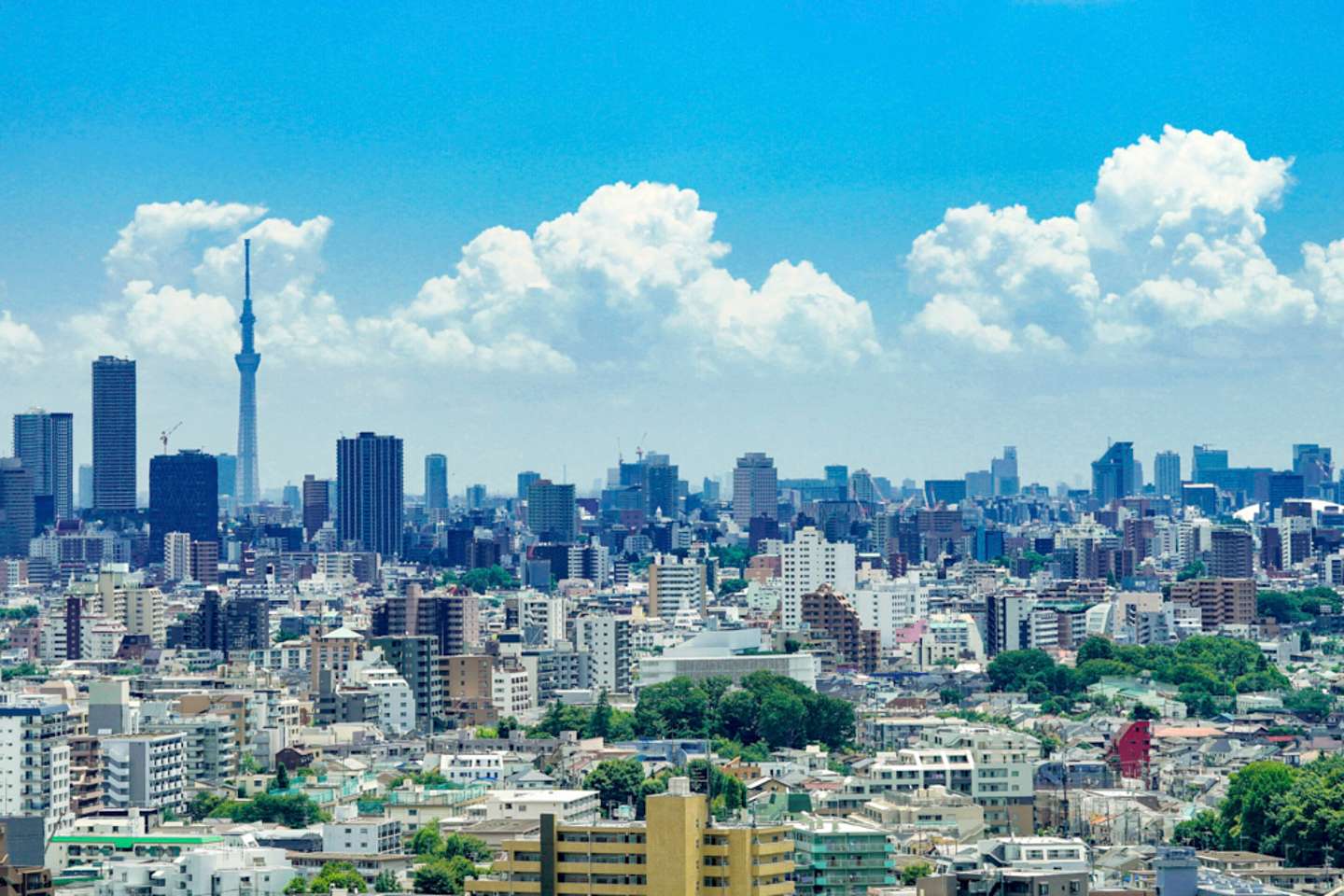 Ağustos ayında Tokyo’da neler görüp yapabilirsin?