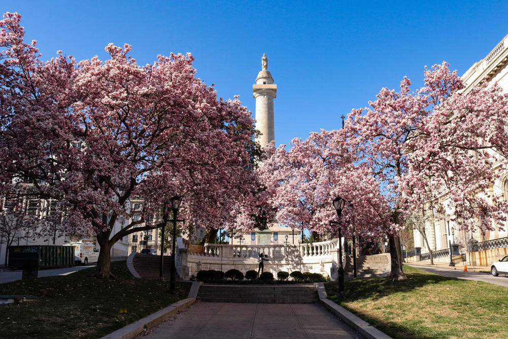 Spring in Maryland: 8 top things to do and see