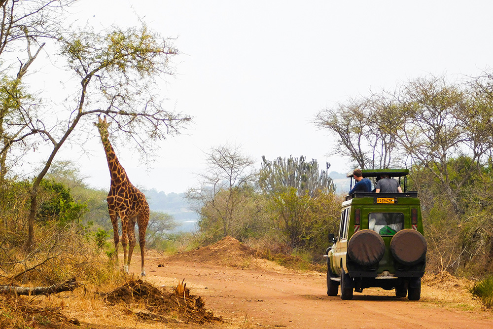 9 Essential Tips For Planning Your African Safari