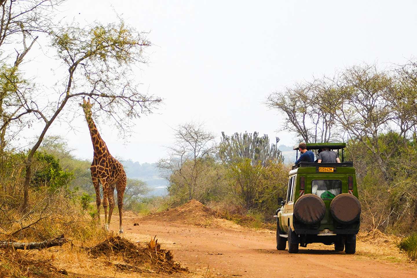 9 Essential Tips For Planning Your African Safari