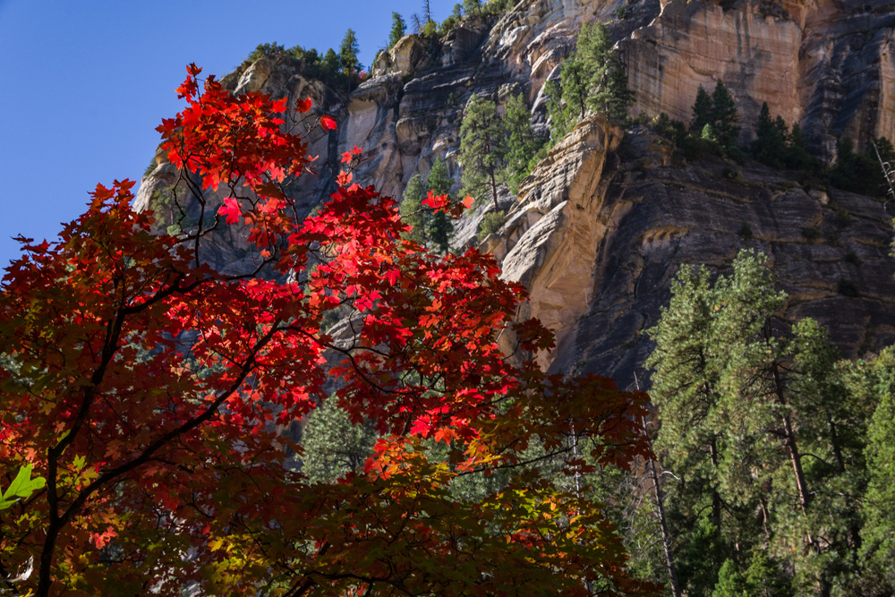 Fall in Arizona: What To See and Do