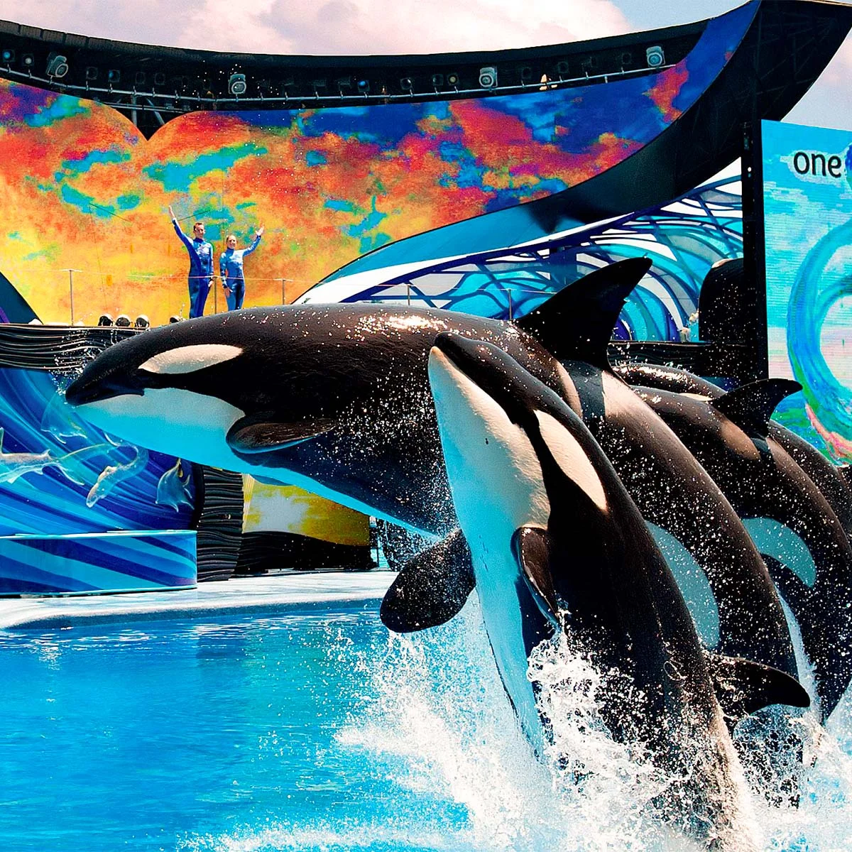 20 Unique and Fun Things To Do in Orlando