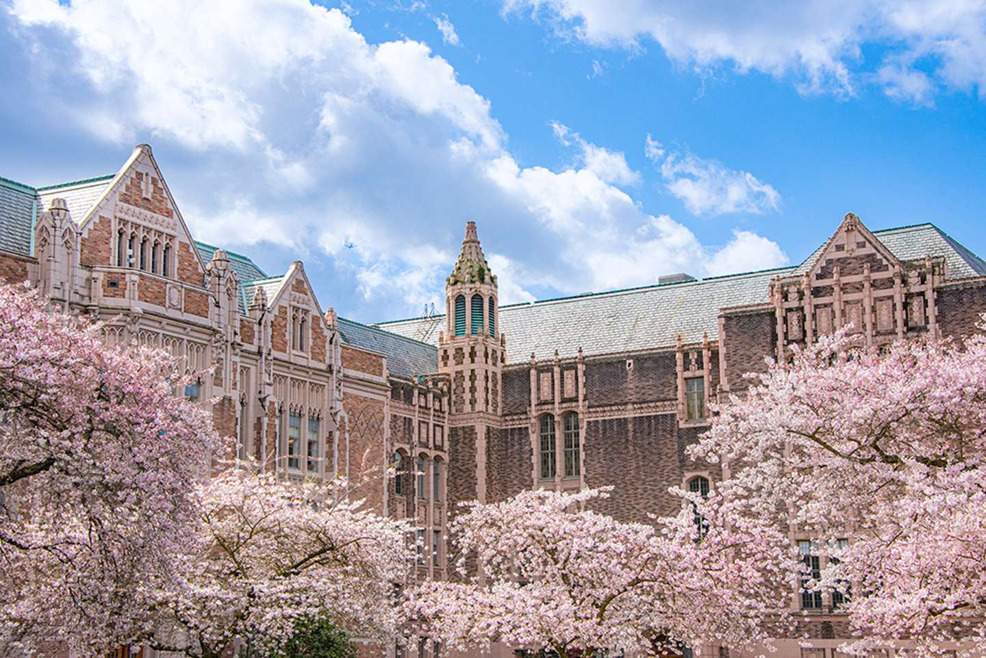 8 Spectacular Activities to Enjoy in Seattle in Spring
