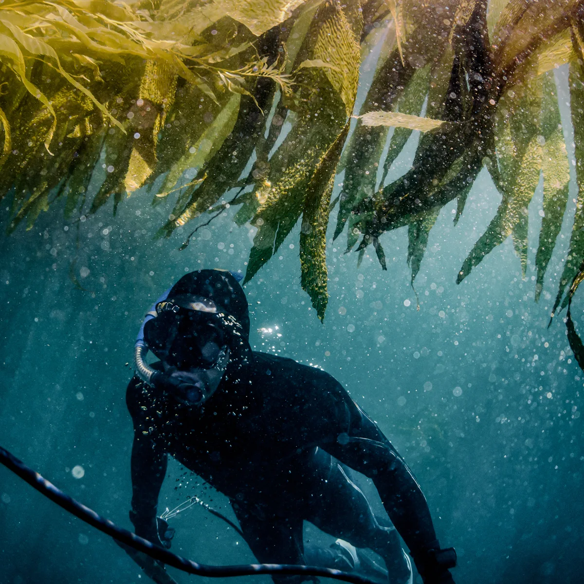 Epic outdoor adventures in California