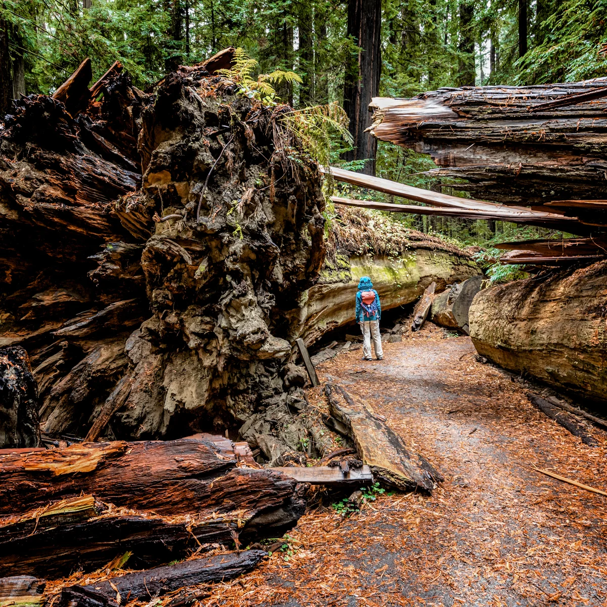 Northern California’s most unmissable hidden gems
