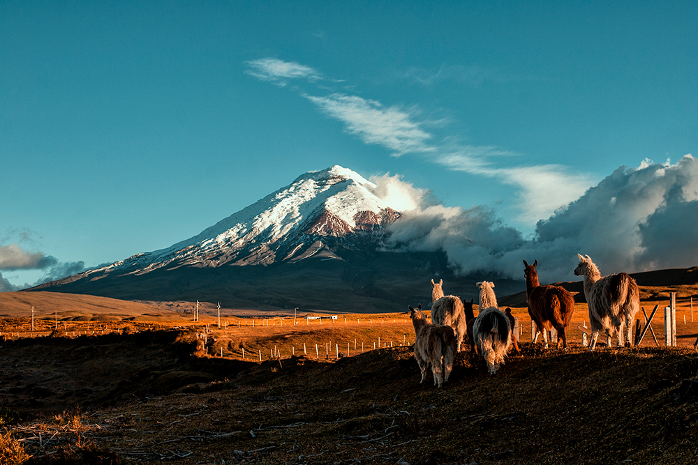 The 10 most beautiful places in Ecuador