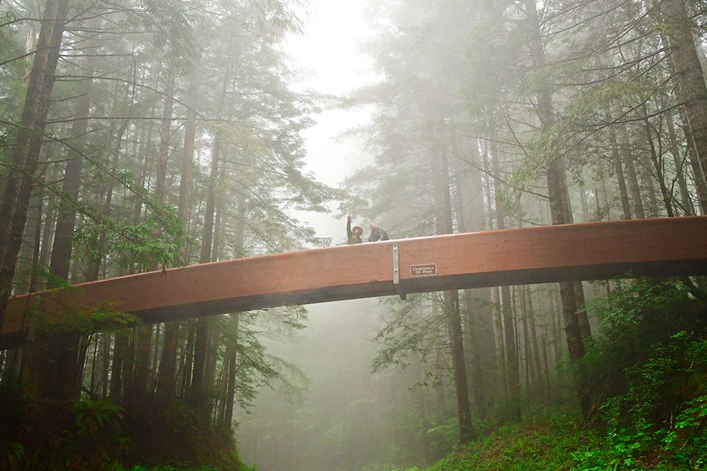 Guide til det bedste tidspunkt at besøge Redwood National Park på