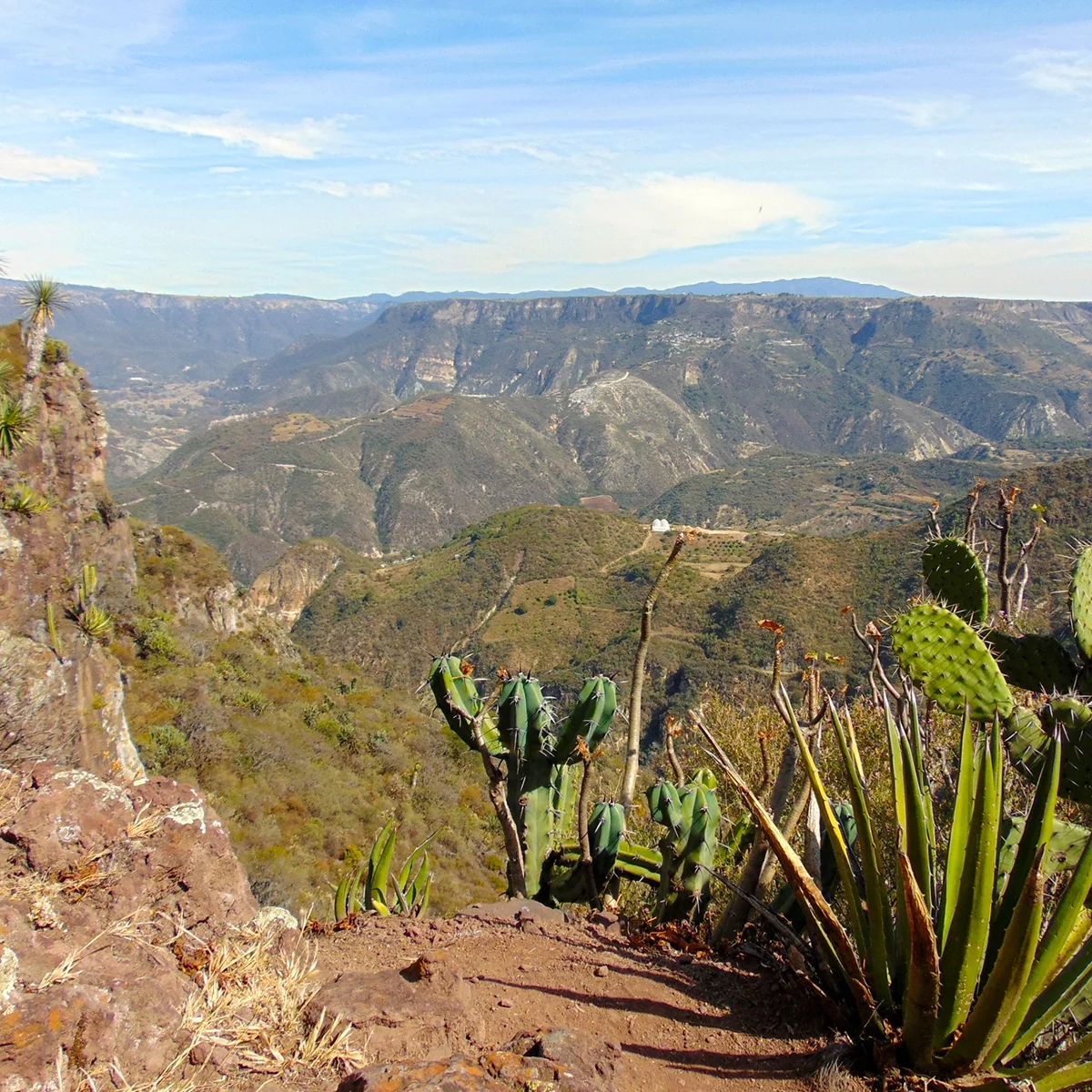 Explore off the beaten path with Mexico City's best hidden gems