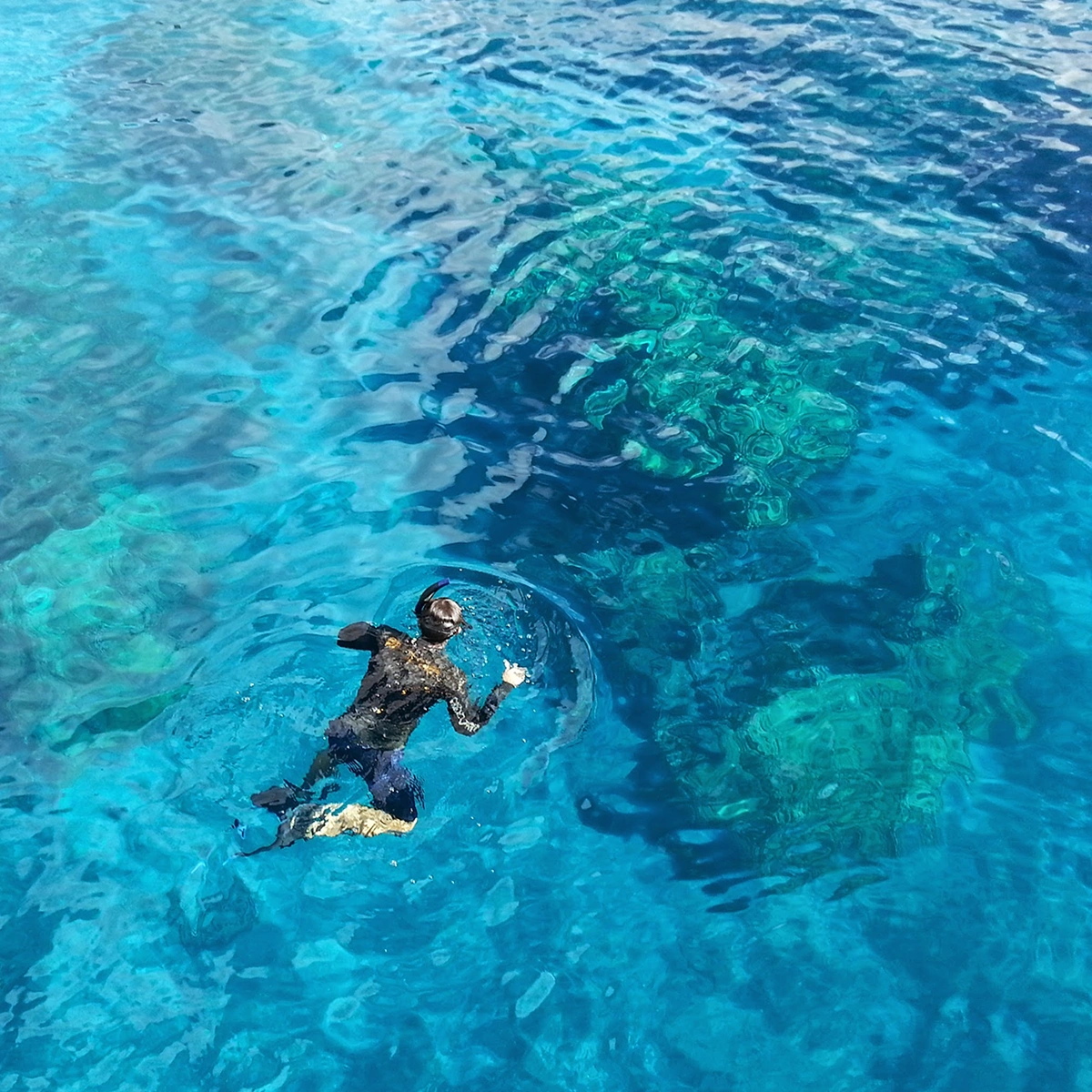 Best places to visit in Miami: top attractions you don't want to miss