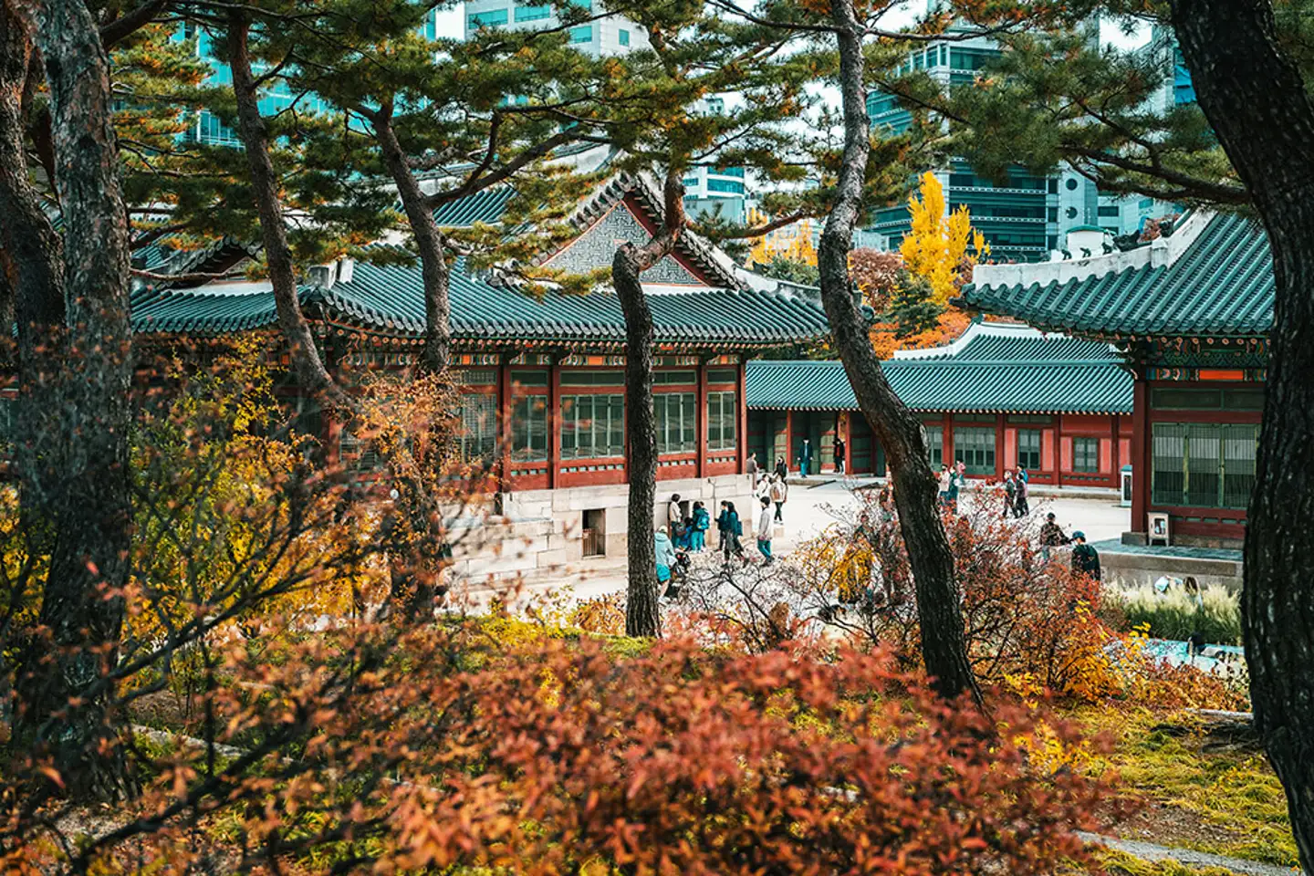 Il momento migliore per visitare la Corea del Sud: una guida mese per mese