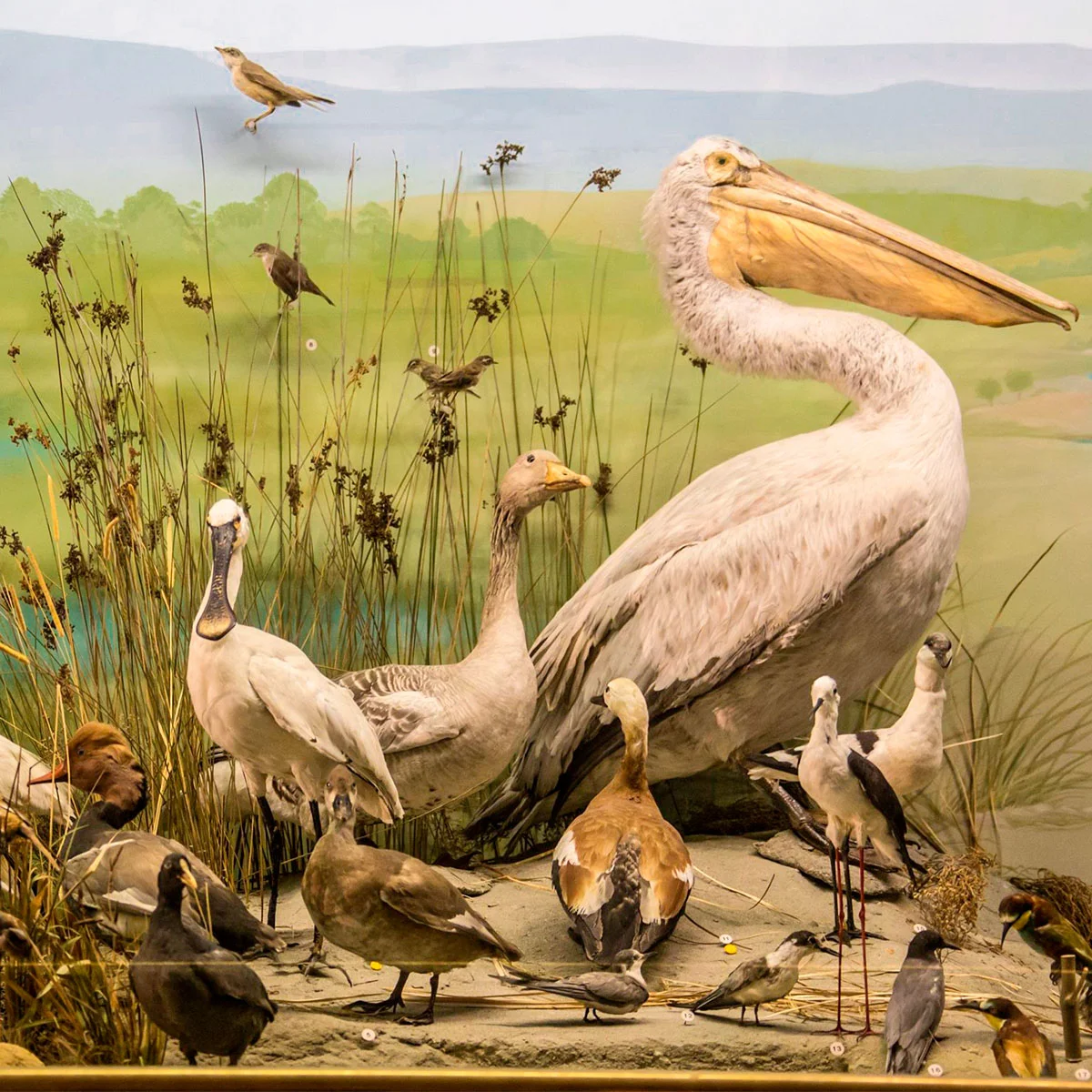 Best museums in Athens that are worth your time