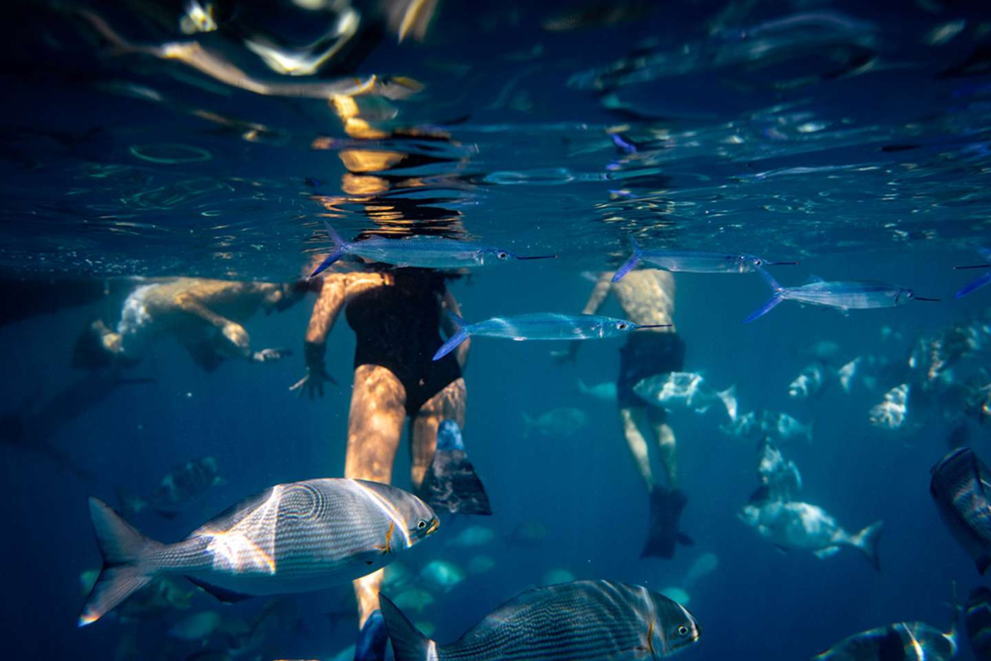 La guía definitiva de scooters de buceo en Hawái