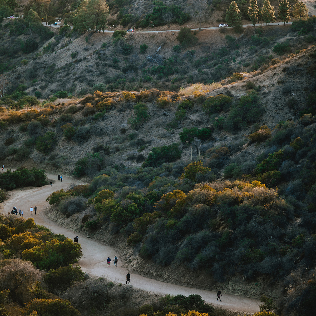 20 fun and unique things to do in Los Angeles