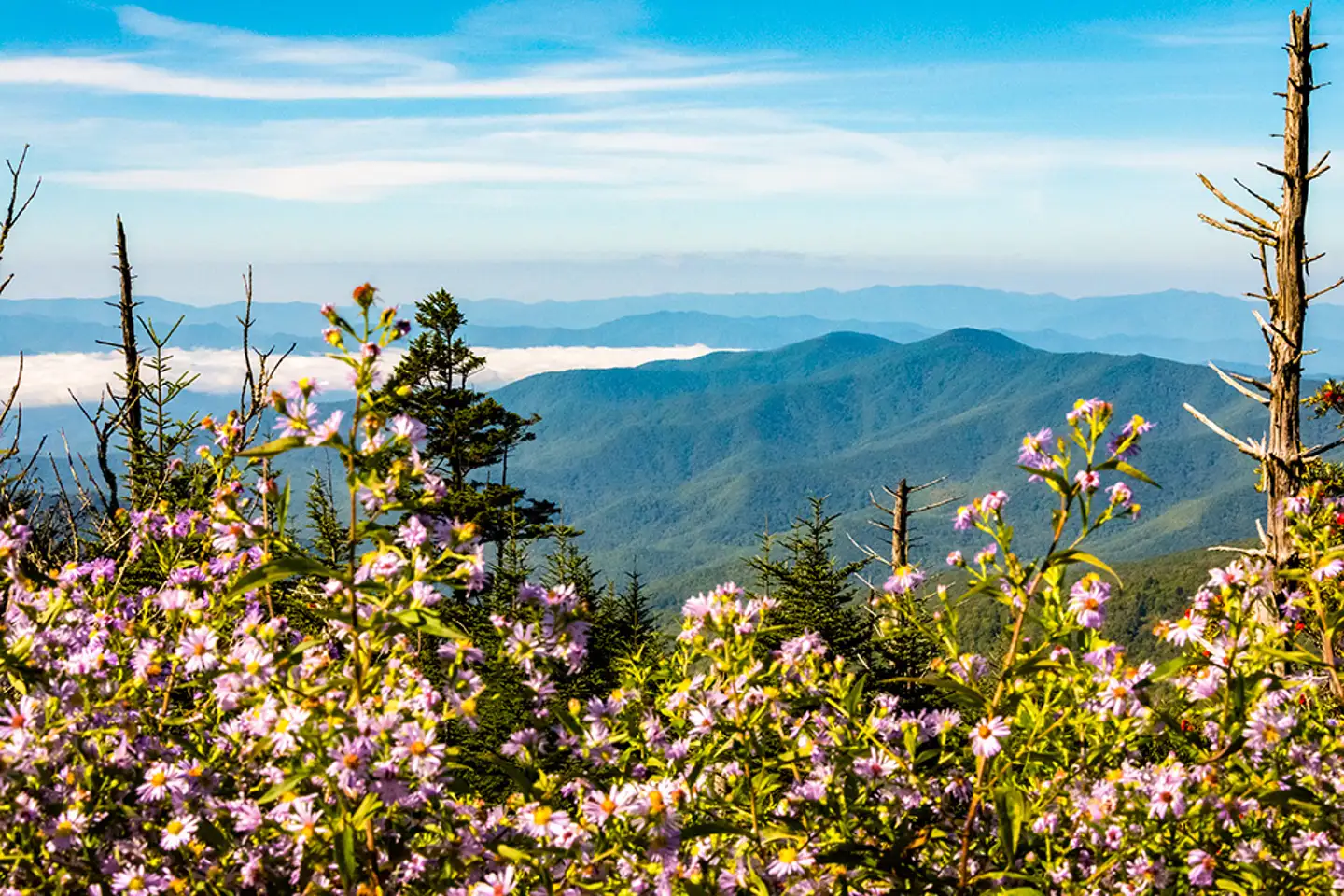 8 Epic Things To Do During Spring In Tennessee