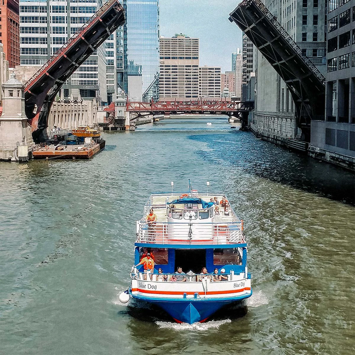 Chicago for couples: the most romantic things to do