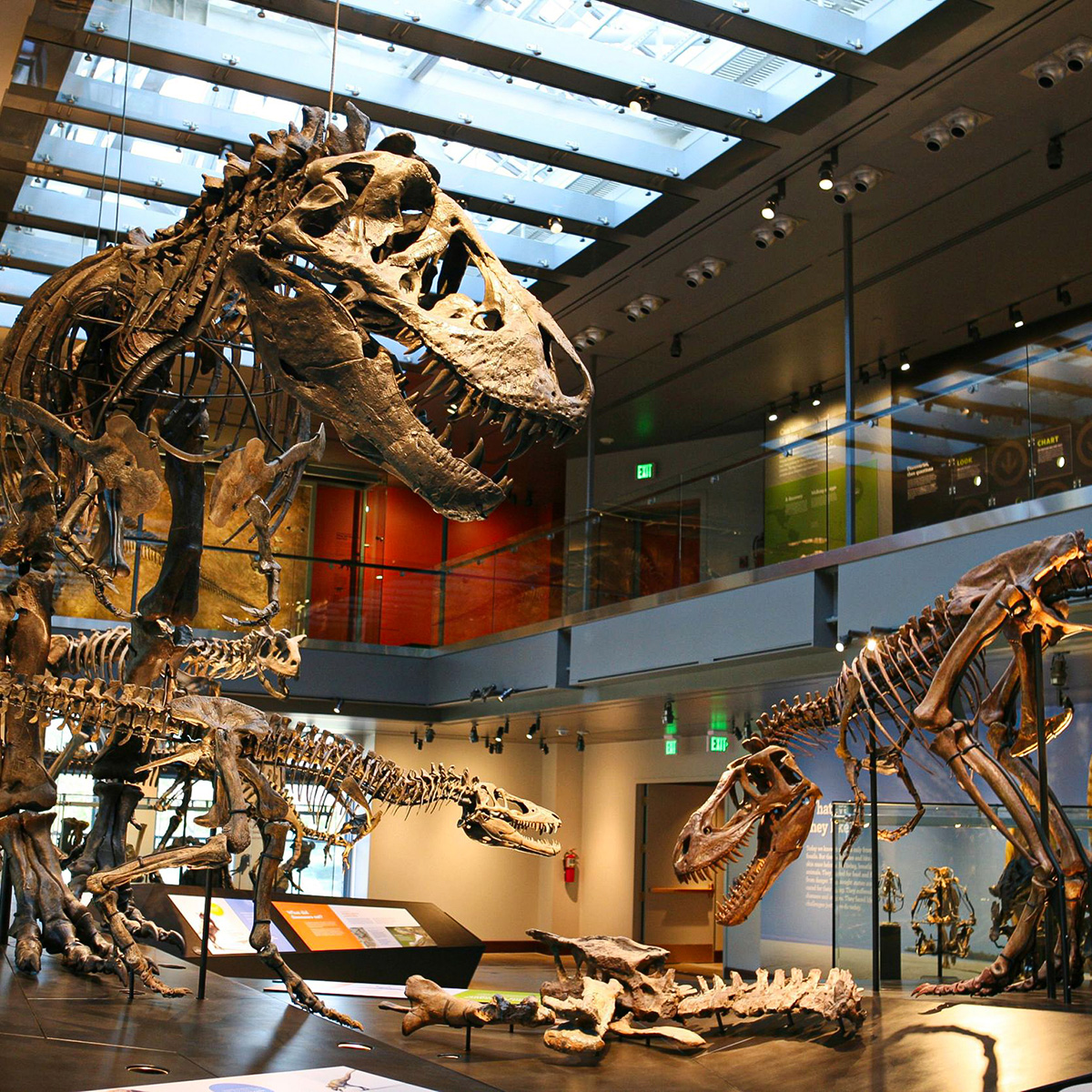 14 Best Places To Visit In Los Angeles: Can't Miss LA Attractions