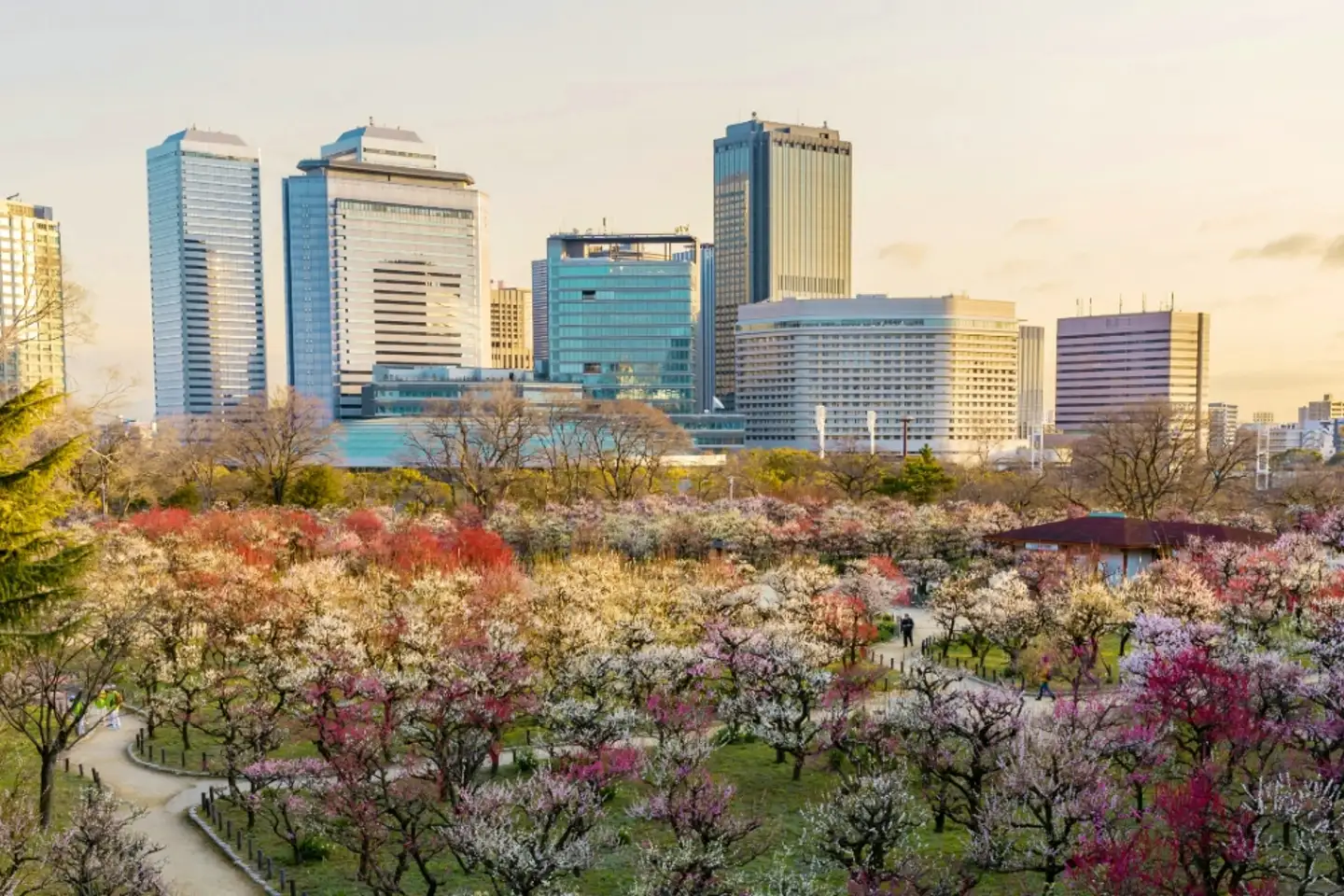 8 Best Places To Visit in Osaka All Year Round