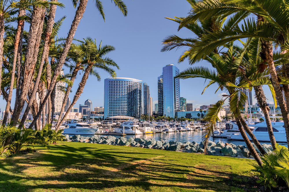 10 Best Free Things to Do in San Diego