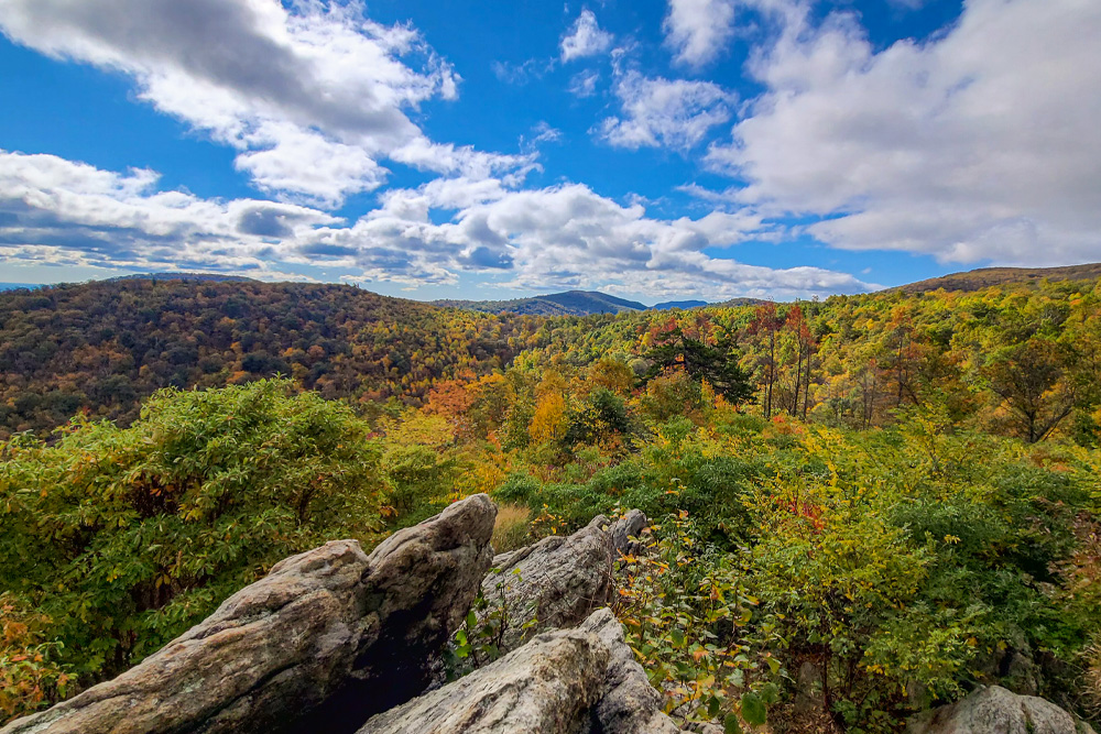 Encuentra la mejor época para visitar el Parque Nacional de Shenandoah