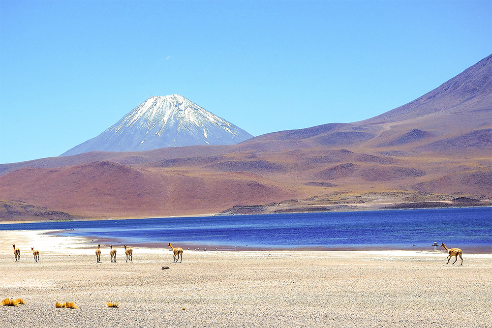 8 Best Beaches in Chile: A Complete Guide