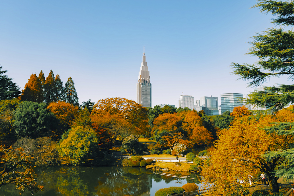 Tokyo in November Guide: Everything You Need To Know