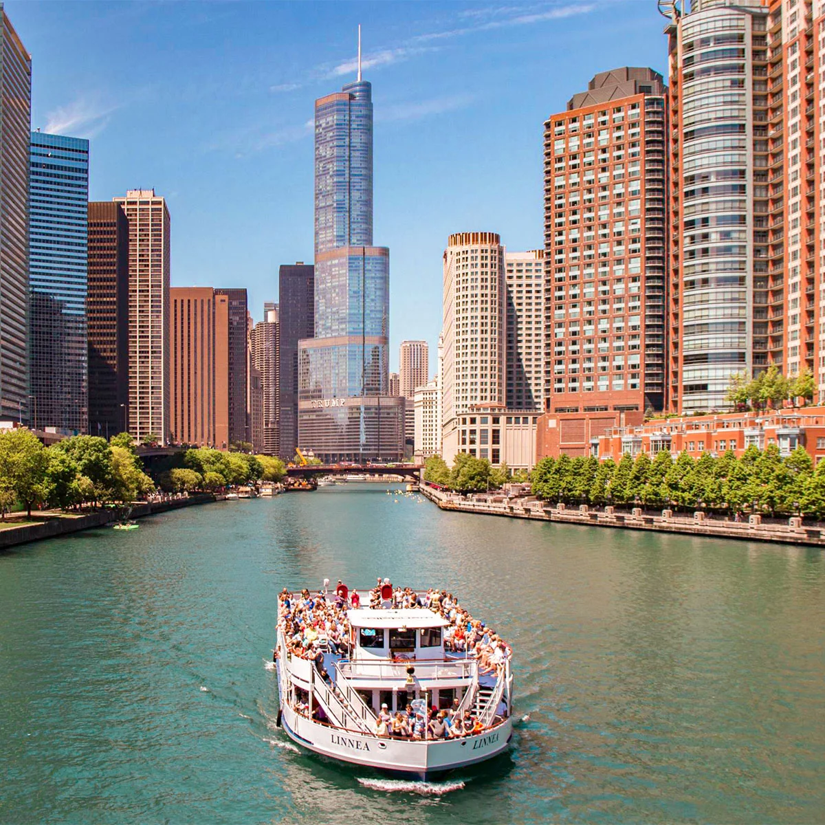 Chicago in summer: best things to do and see