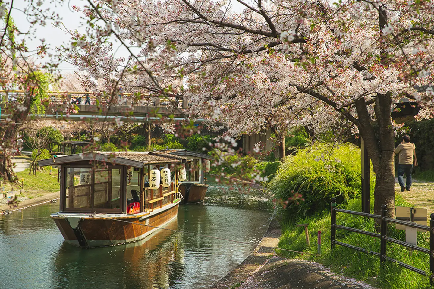 8 Best Things To Do in Kyoto in Spring