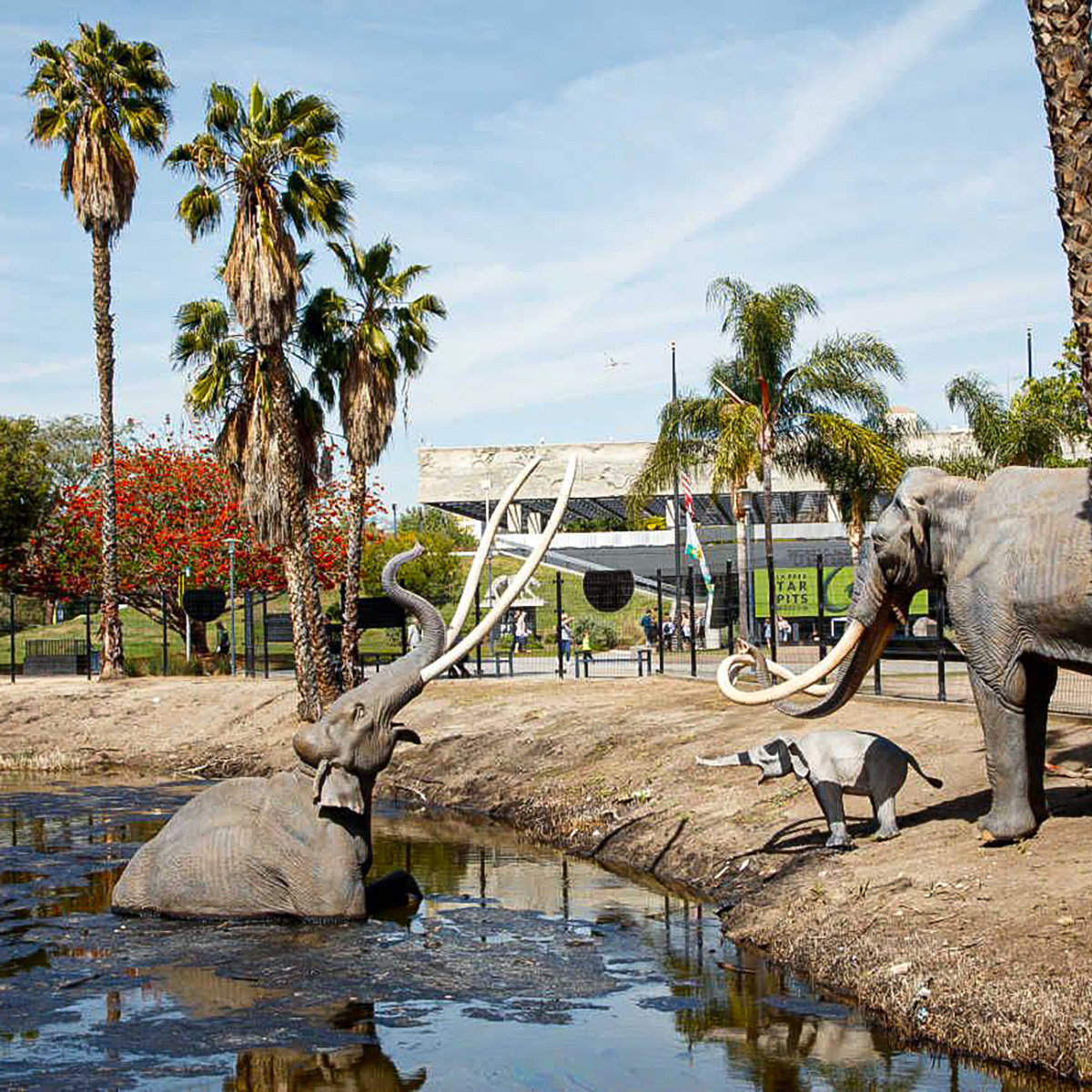The 13 Best Museums To Visit In Los Angeles