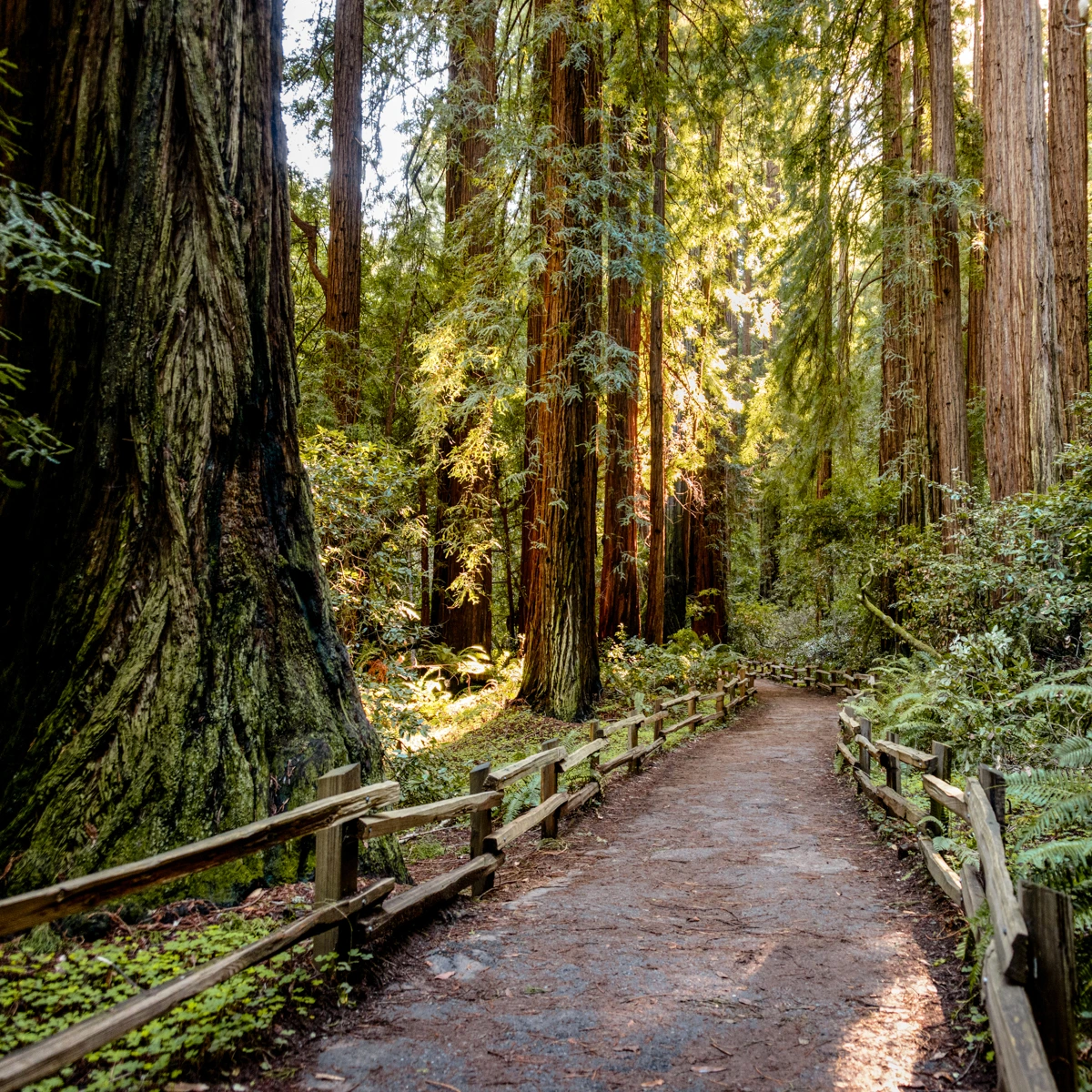 Epic outdoor adventures in California