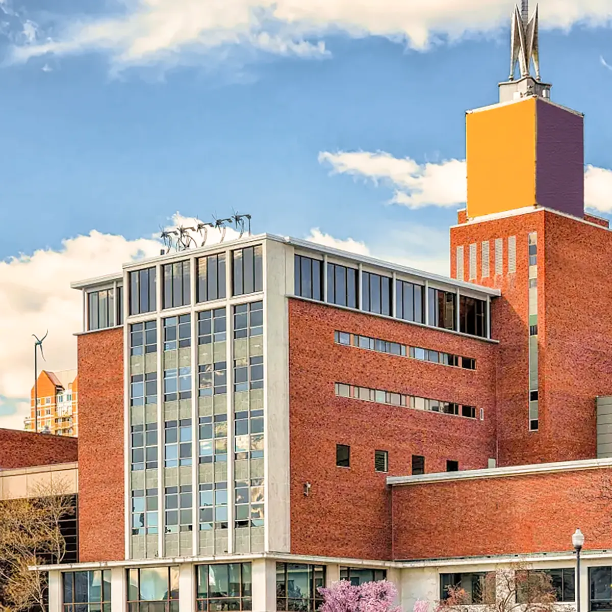 Best museums in Boston that are worth your time