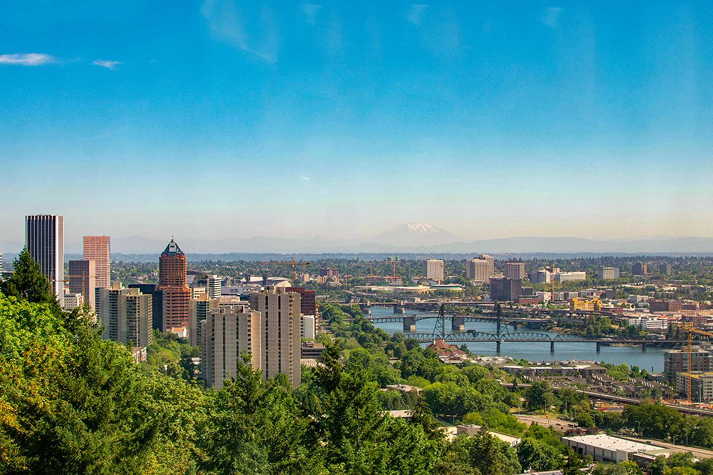 Best Museums in Portland, Oregon, Not To Miss