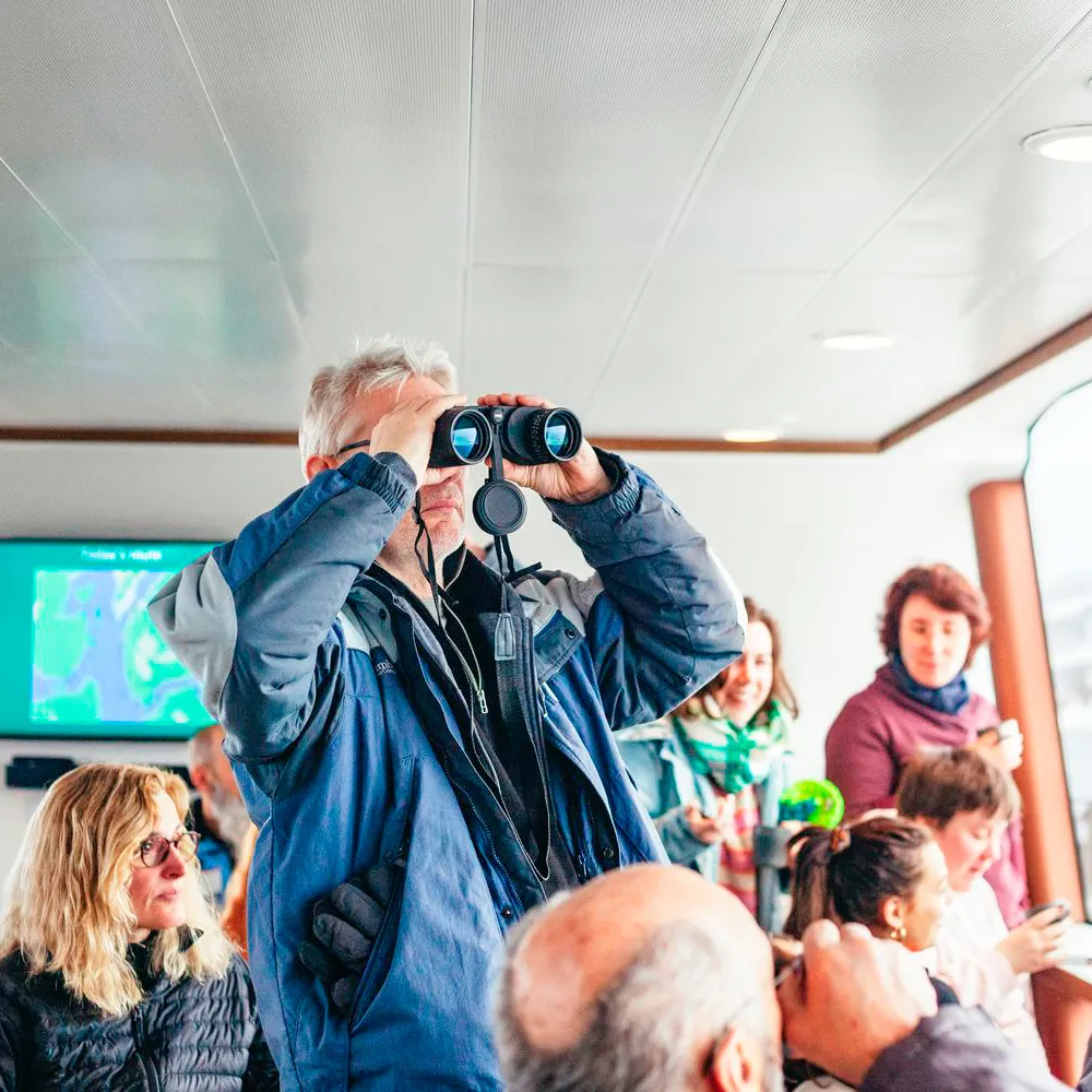 The ultimate guide to whale watching in Norway