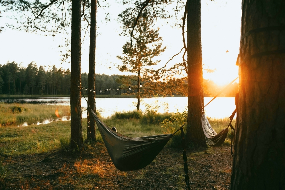 Summer in Minnesota: 9 Best Places to Visit