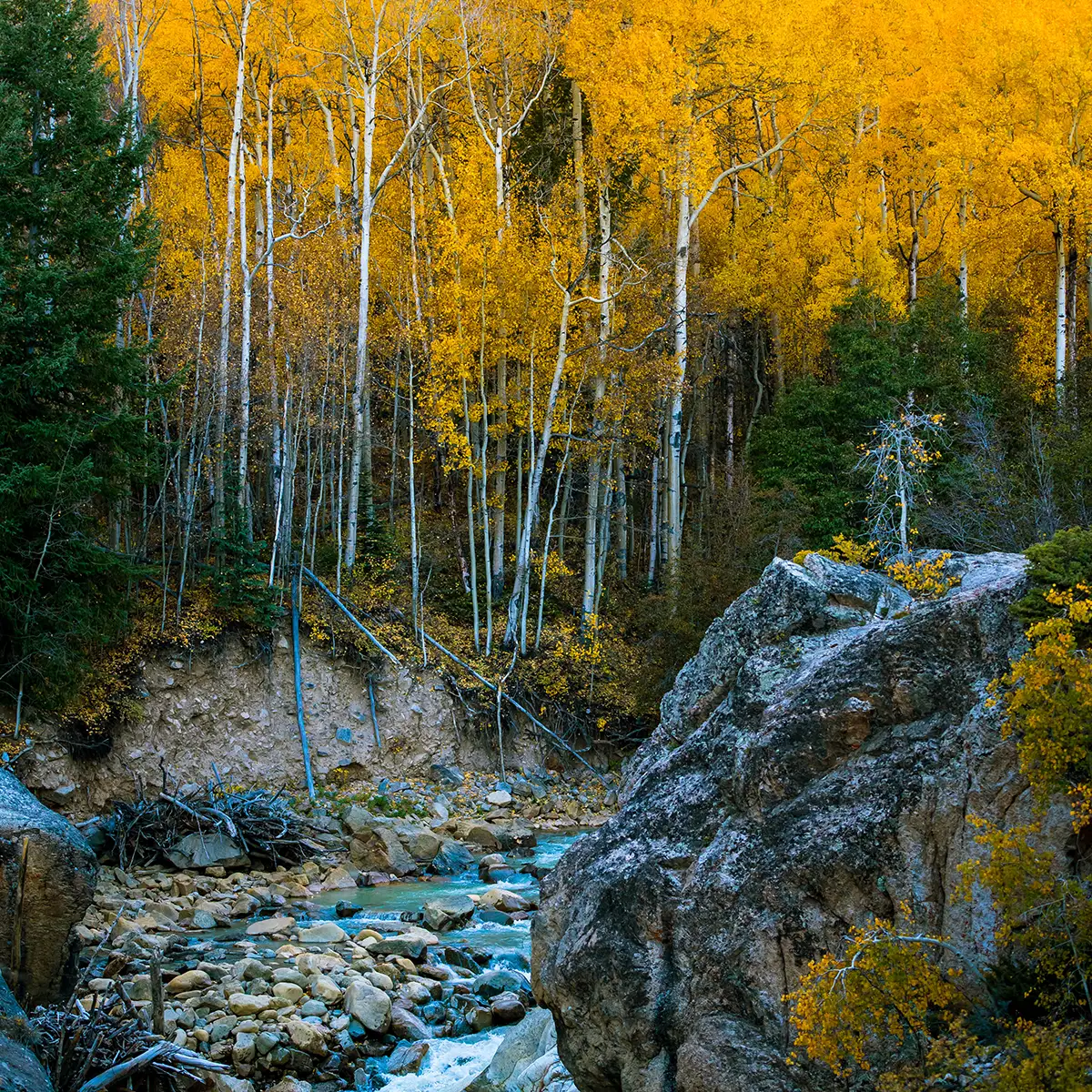 12 best places to see fall foliage around the world