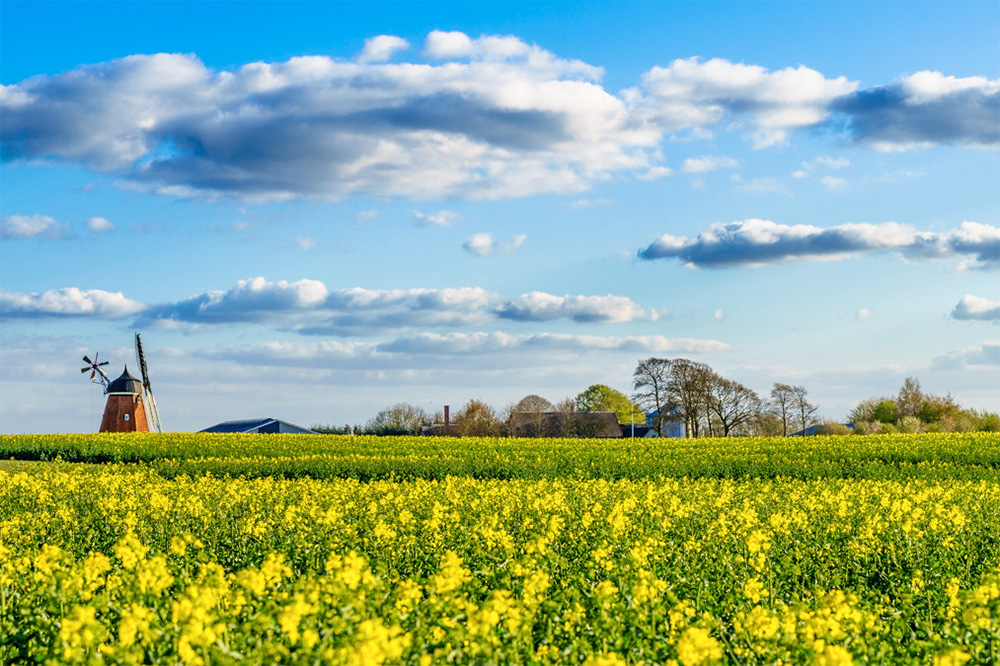 The Best Time To Visit Denmark: A Month-By-Month Guide