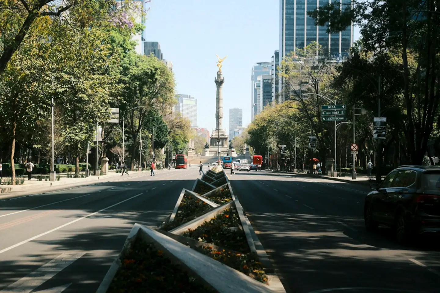 10 Epic Things To Do Alone in Mexico City