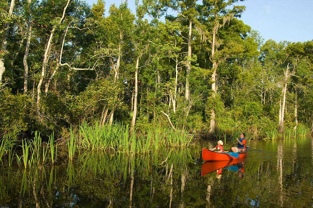 Mississippi in Spring: What to See and Do