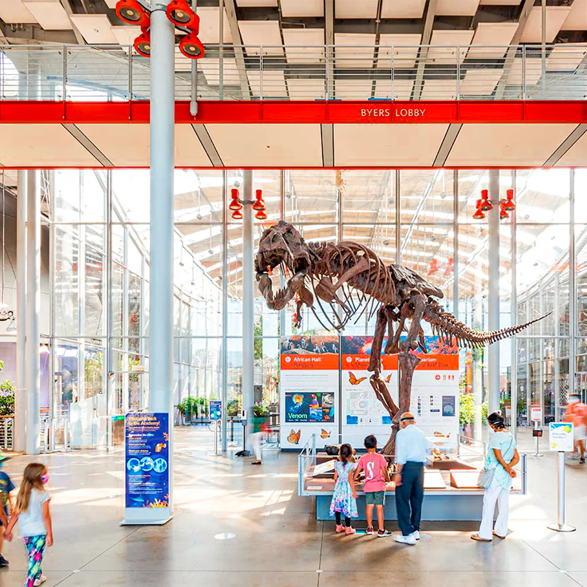 Best museums in San Francisco that are worth your time
