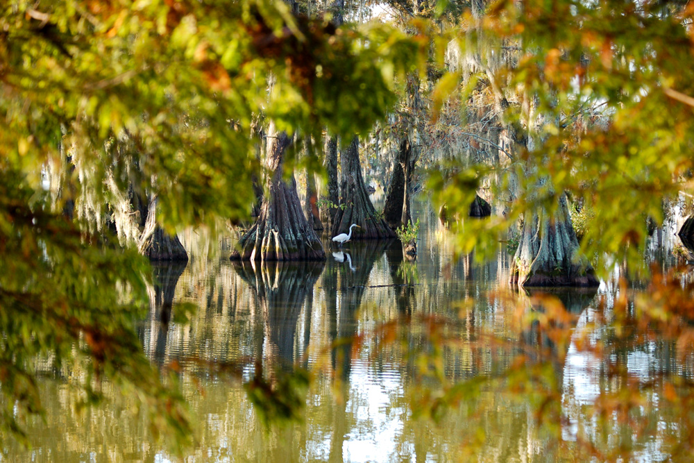 Fall in Louisiana: The Best Things To See and Do