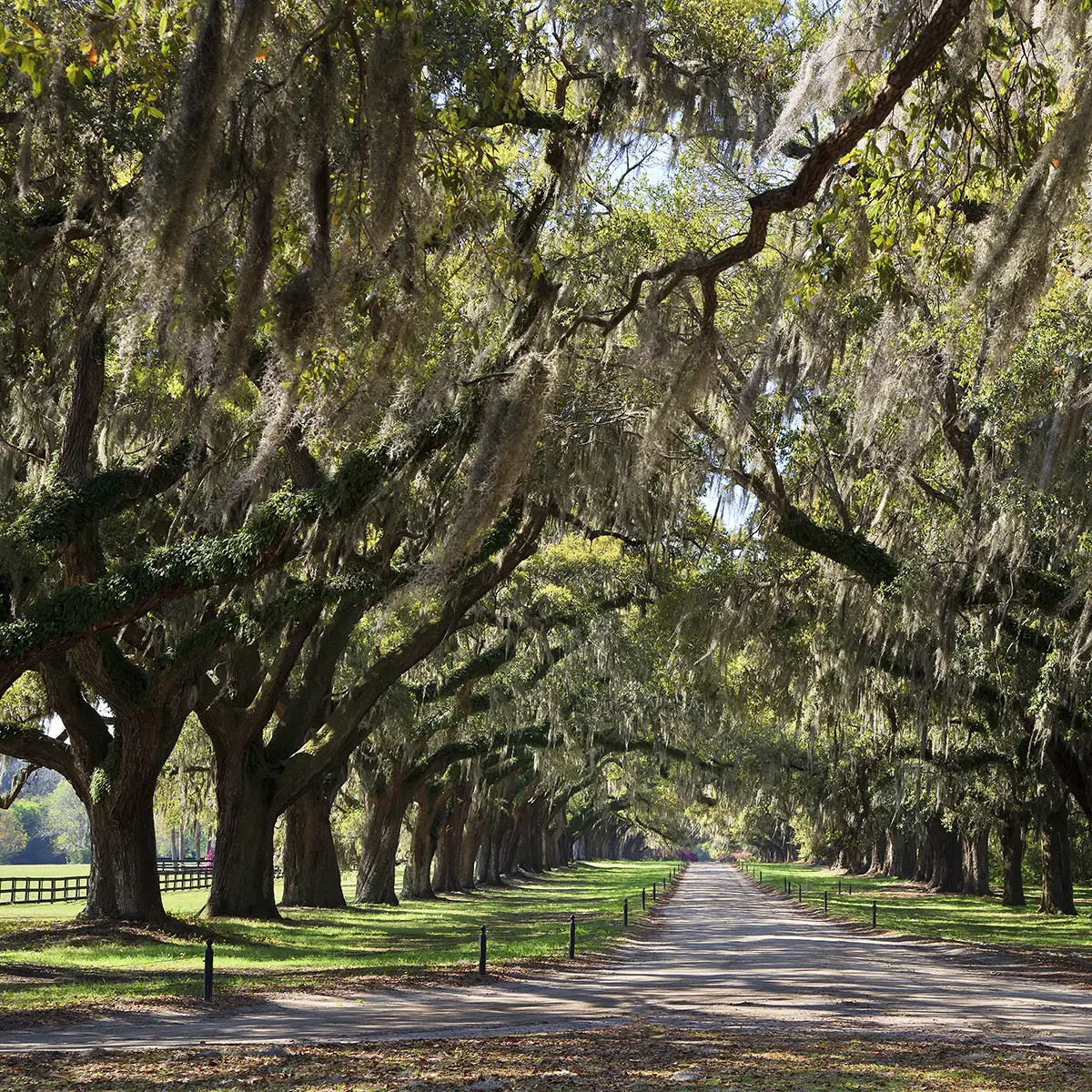 Charleston’s unmissable landmarks and historical sights