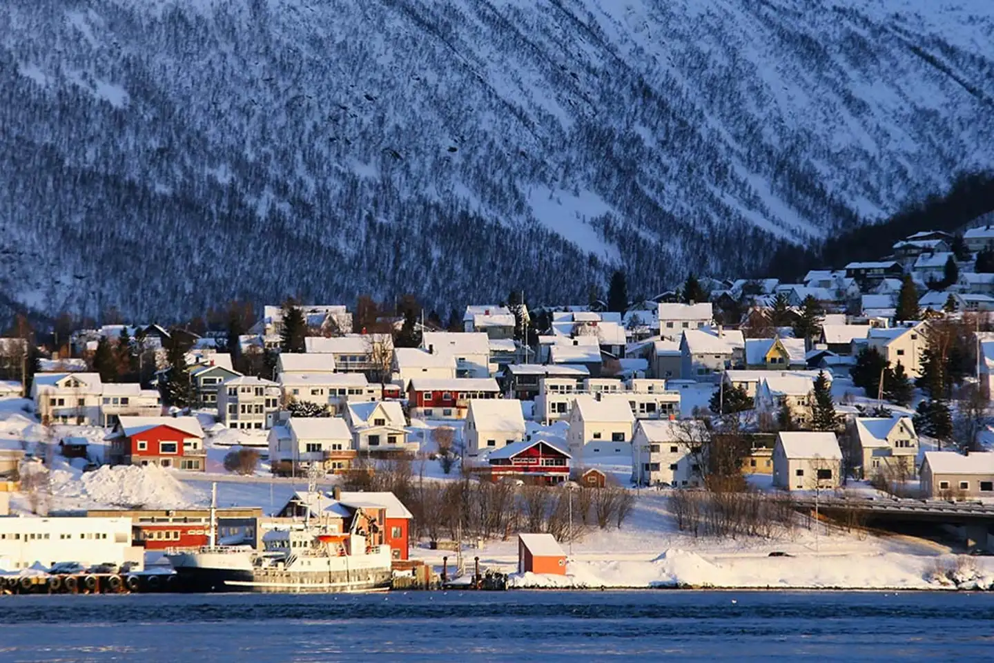 10 Unique and Fun Things to Do in Tromsø